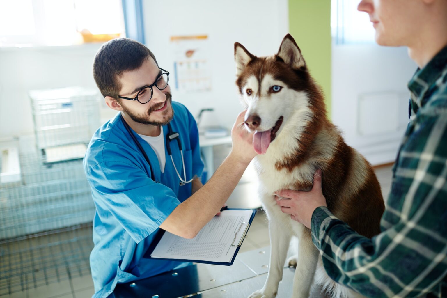 Home - Animart Vet Clinic